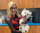 Updates from the California Hub for Energy Efficiency Financing (the ...